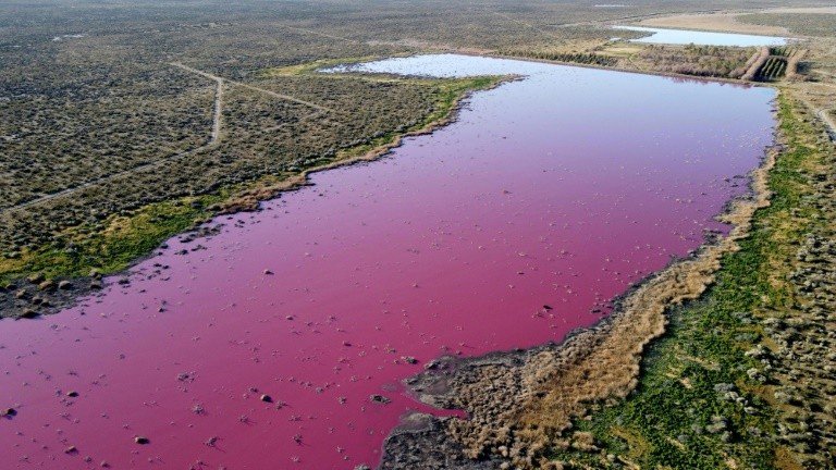 Lagoa rosa na Patagônia ‘é a imagem da negligência’, acusa ...
