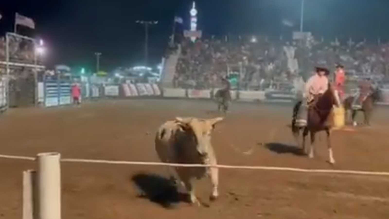 Vídeo: Touro avança sobre multidão que assistia a rodeio nos Estados ...