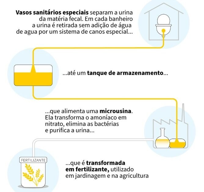 Urina humana, um fertilizante inesperado mas eficiente e menos poluente ...