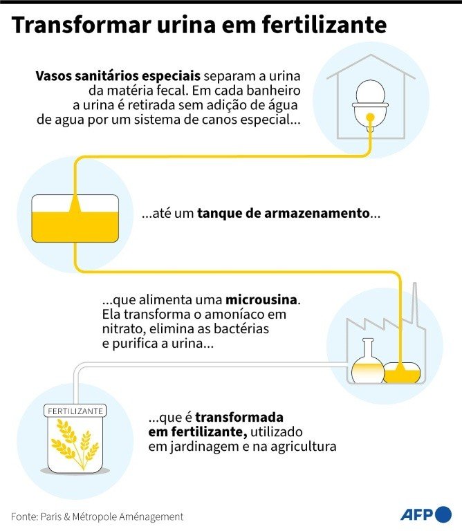 Urina humana, um fertilizante inesperado mas eficiente e menos poluente ...