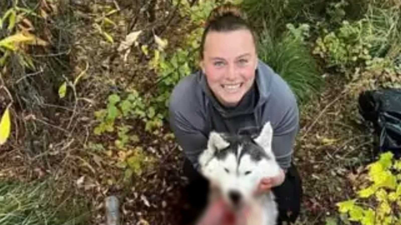 Mulher gera revolta ao confundir cachorro com lobo e exibir fotos do ...