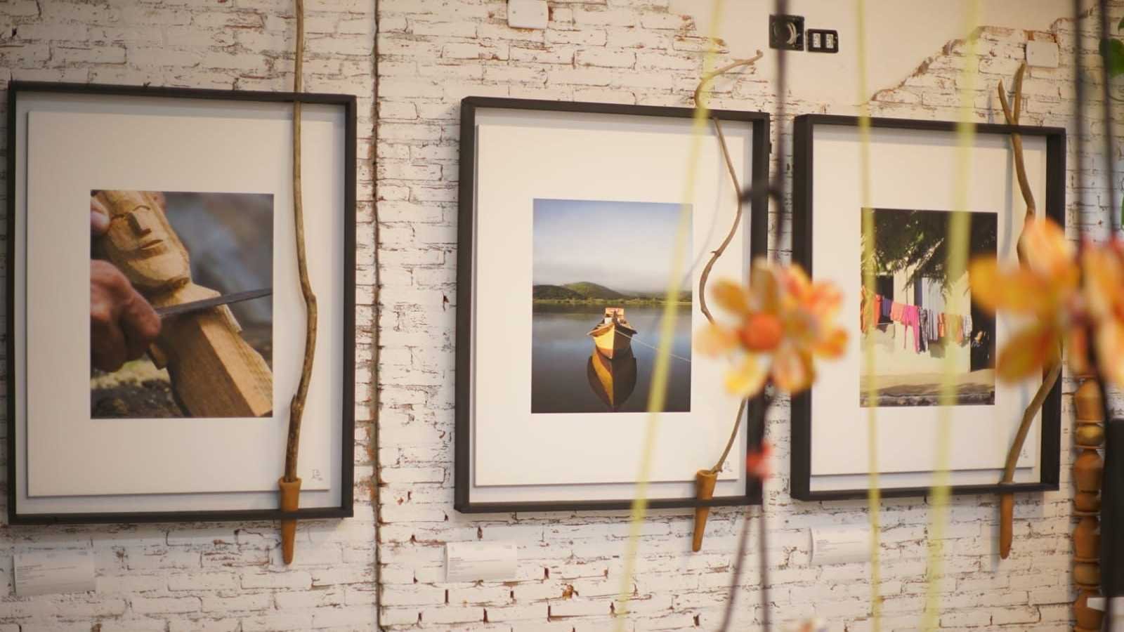 Artista alagoano Túlio Augusto estreia na 11ª edição da Design Weekend ...