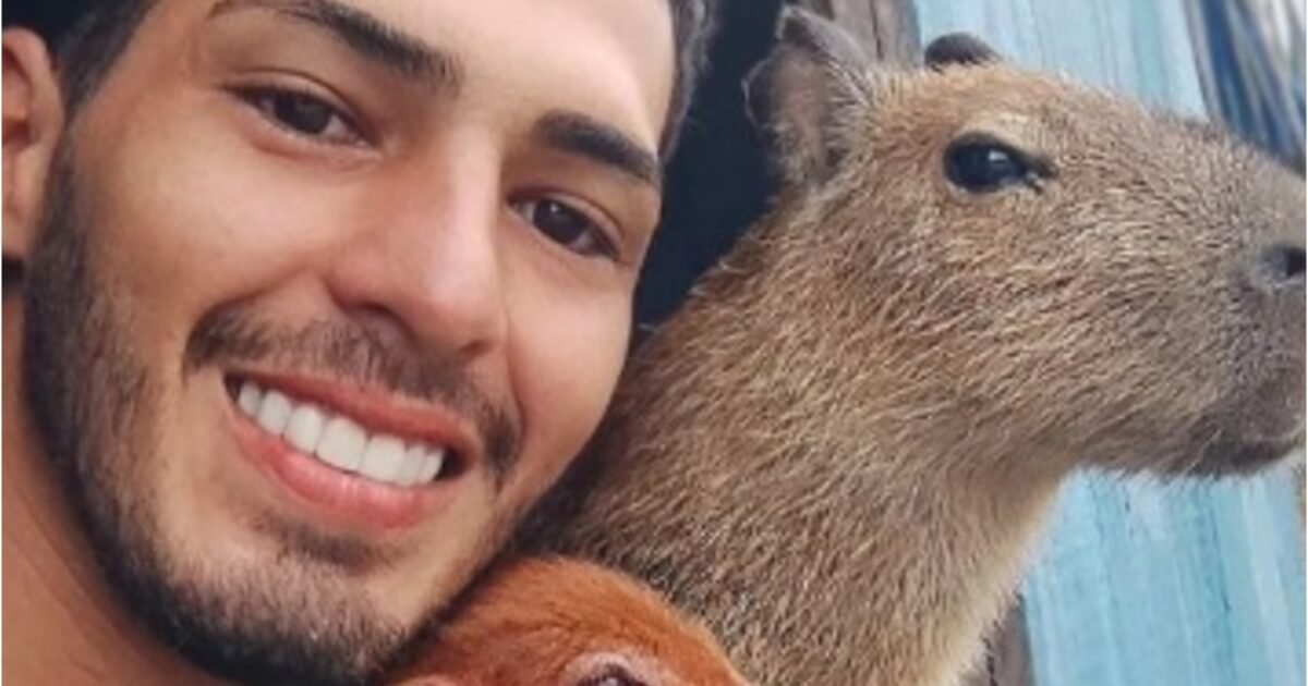 Influenciador consegue guarda provisória da Capivara Filó; entenda disputa - ISTOÉ Independente