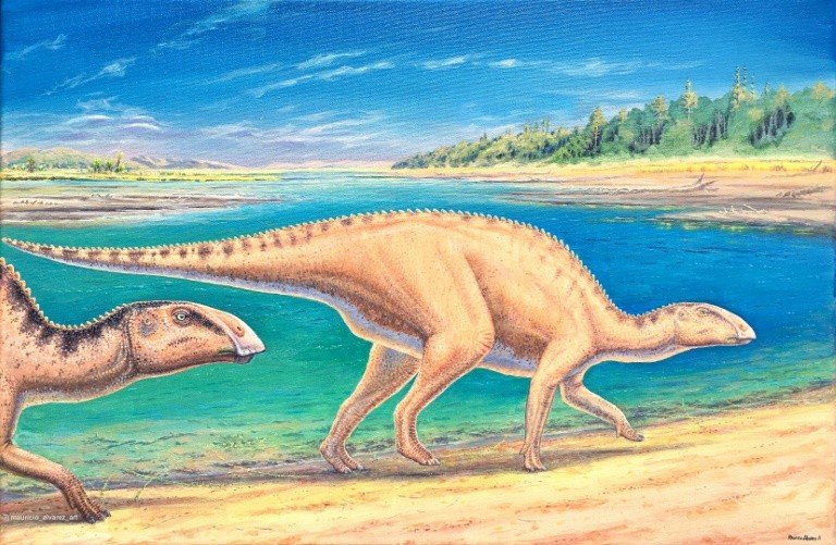 Cientistas identificam dinossauro com bico de pato que viveu na ...