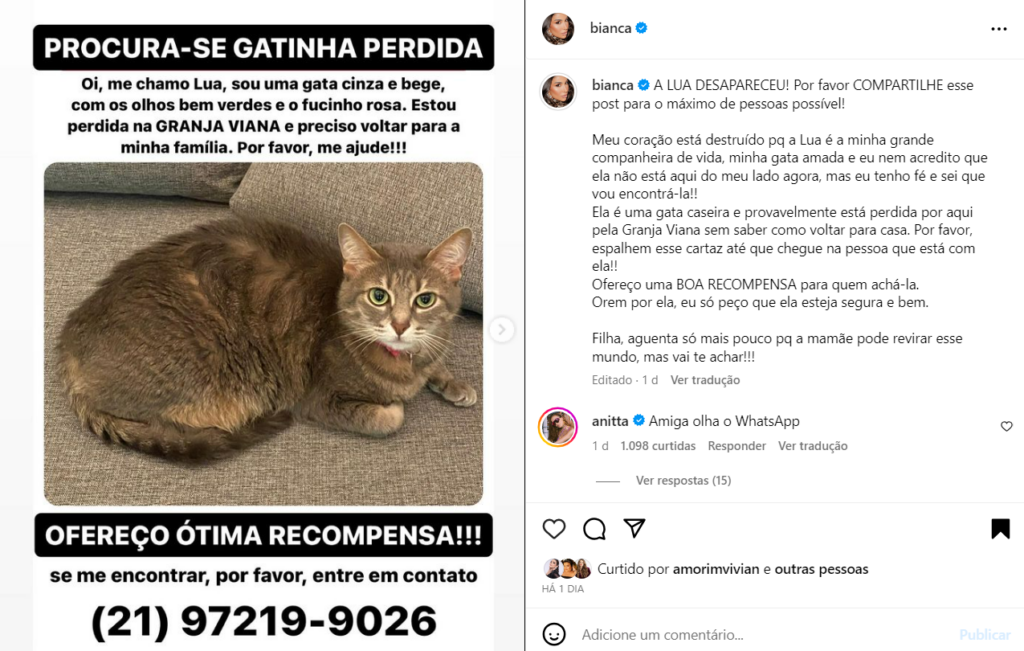 Bianca Andrade procura gata perdida e oferece ‘boa recompensa’ - ISTOÉ Independente