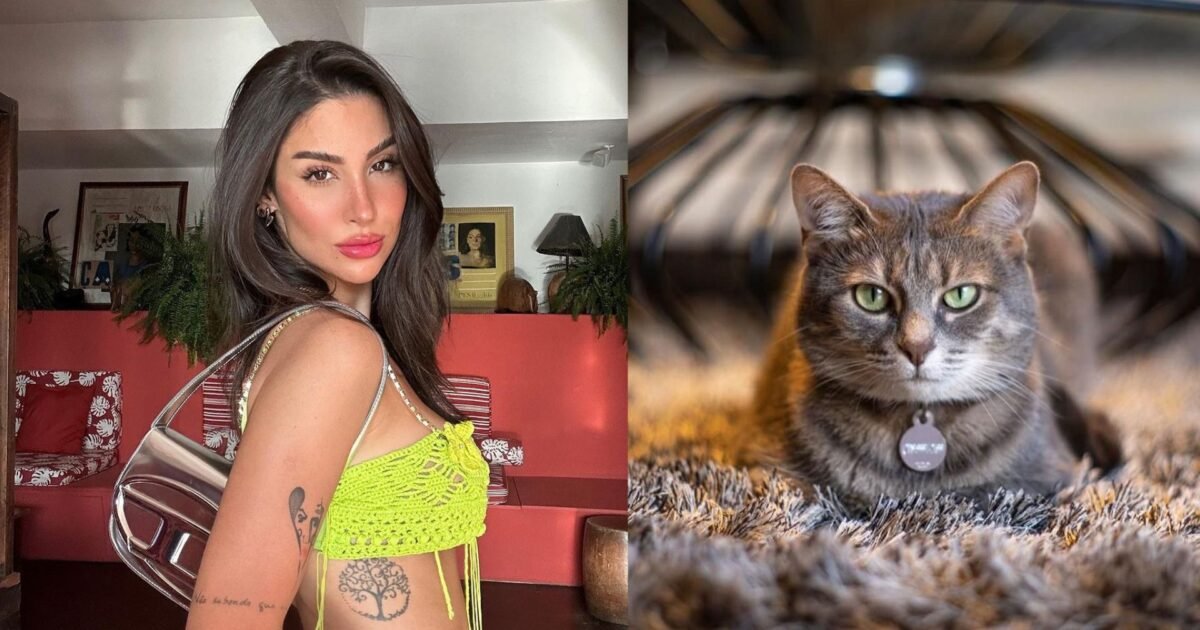 Bianca Andrade procura gata perdida e oferece ‘boa recompensa’ - ISTOÉ Independente
