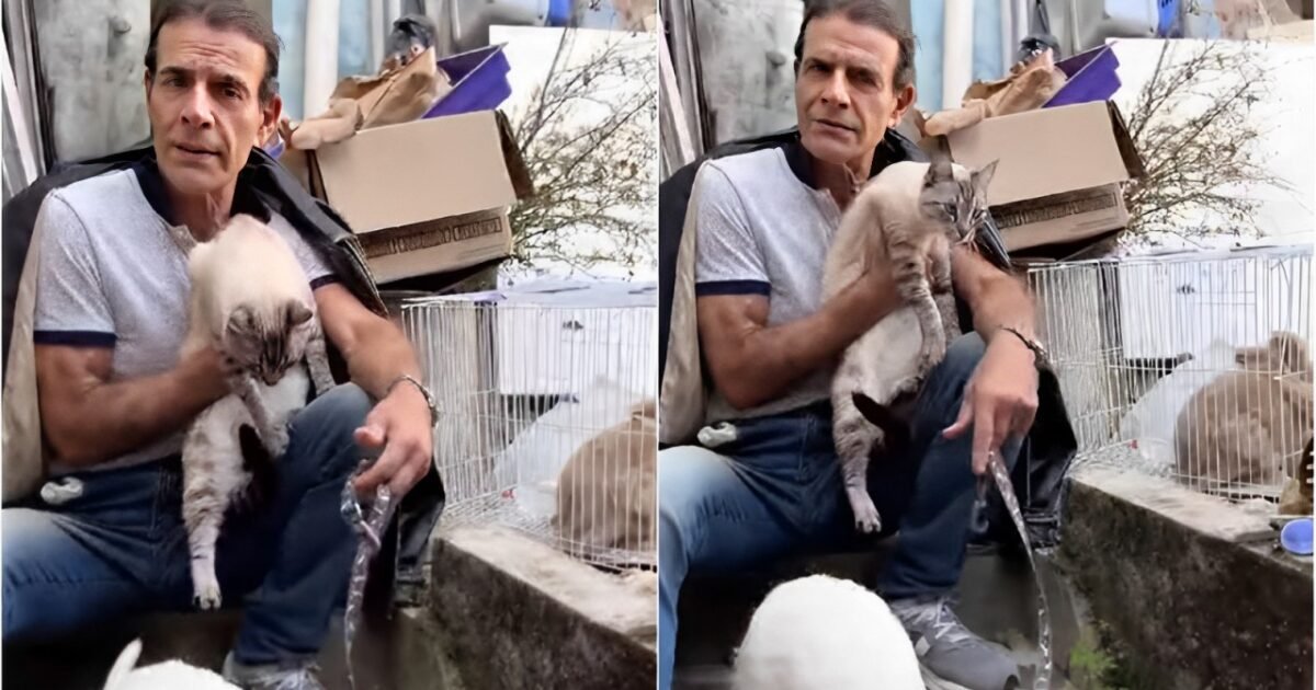 Mário Gomes nega ter abandonado seus pets após ser despejado de mansão ...