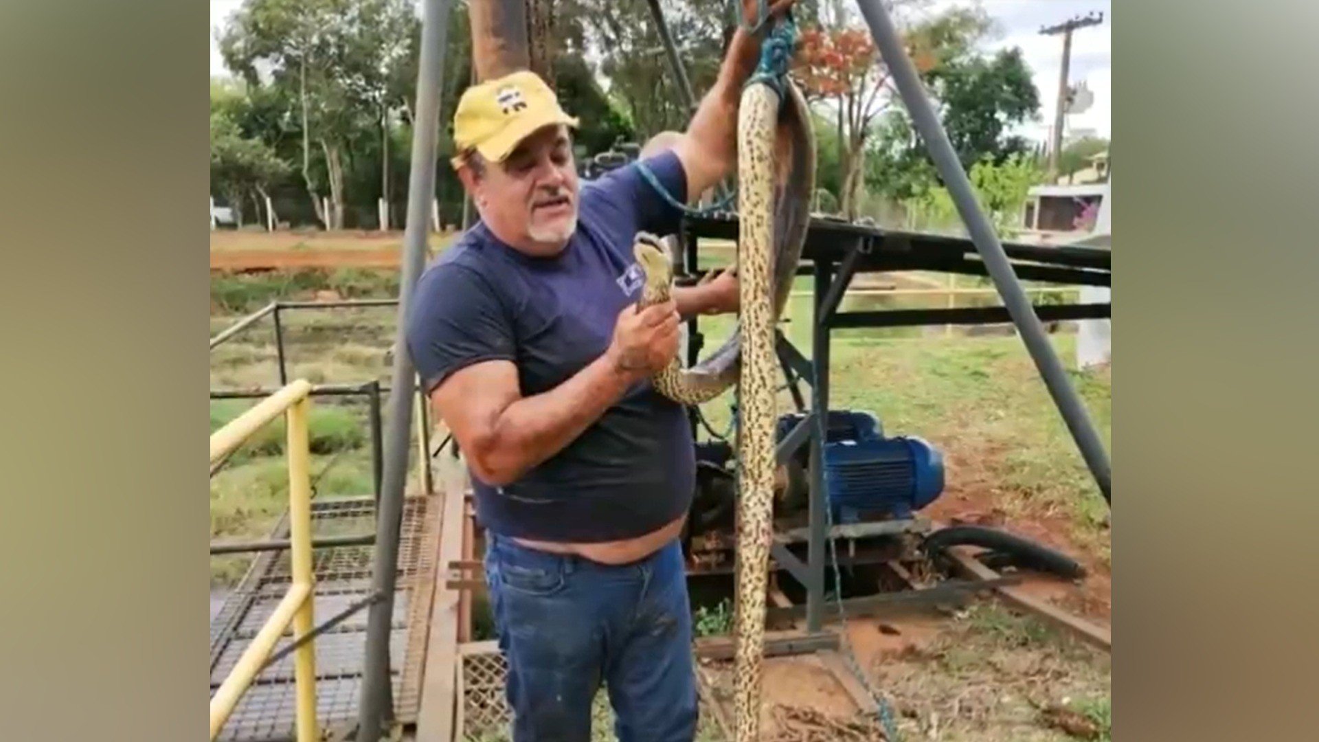 Sucuri entra em tubulação e interrompe fornecimento de água em cidade ...