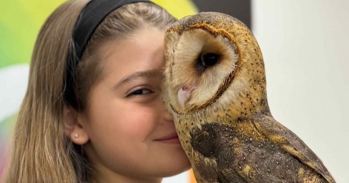 Jovem atriz Juju Penido comenta experiência em contracenar com uma coruja: ‘Incrível’ - ISTOÉ ...