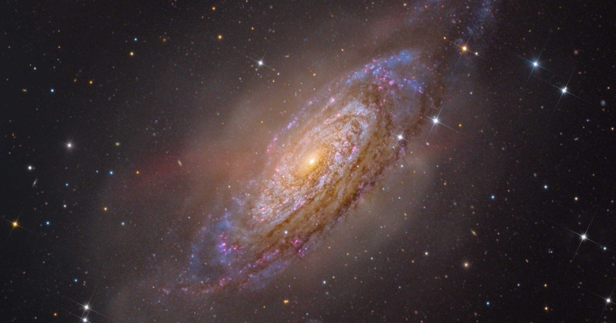 Horóscopo: saiba o que esperar para o seu signo nesta quarta-feira, dia ...