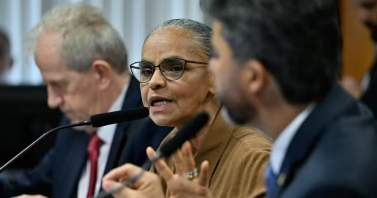 Vídeo: senador Marcos Rogério e Marina Silva têm discussão acalorada ...