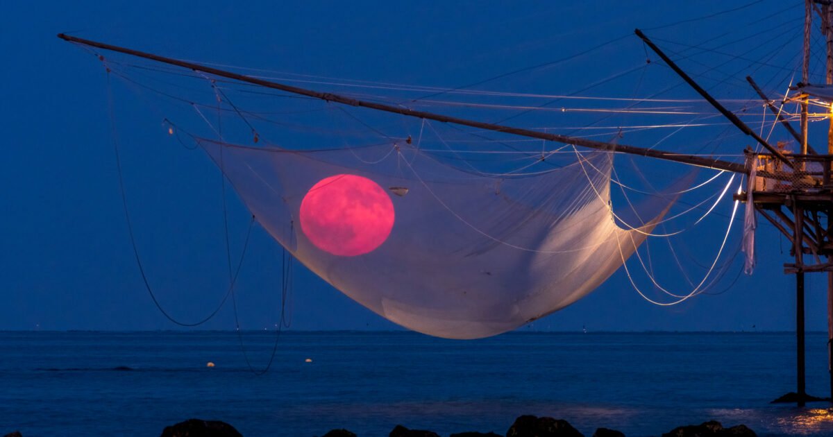 Horóscopo: saiba o que esperar para o seu signo nesta segunda-feira ...