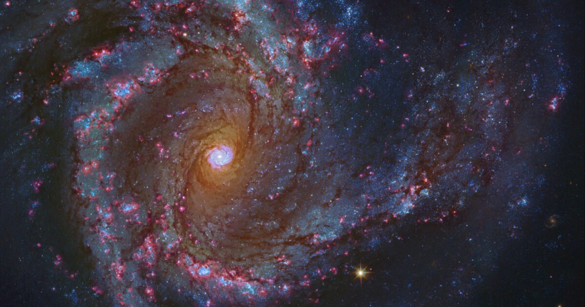 Horóscopo: saiba o que esperar para o seu signo nesta quarta-feira, dia ...