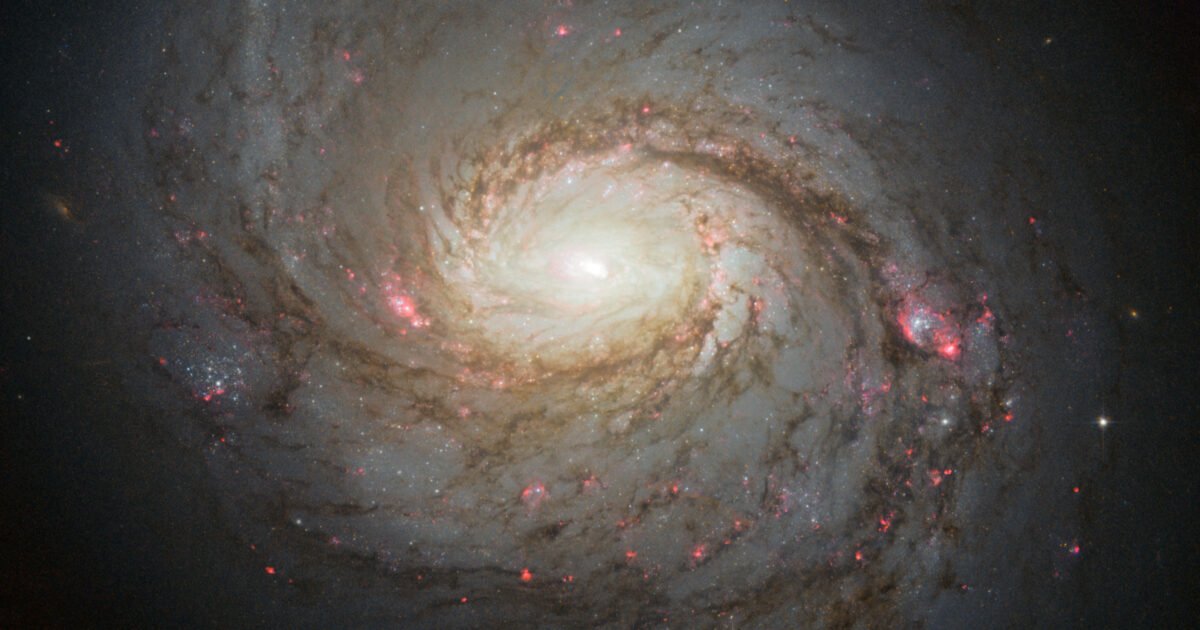 Horóscopo: saiba o que esperar para o seu signo nesta quarta-feira, dia ...