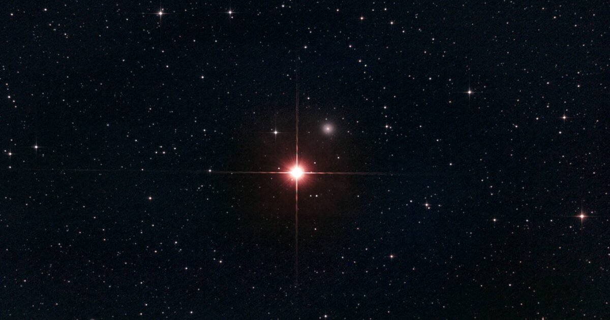 Horóscopo: saiba o que esperar para o seu signo nesta terça-feira, dia ...