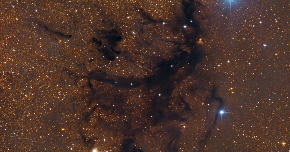 Horóscopo: saiba o que esperar para o seu signo nesta quarta-feira, dia ...