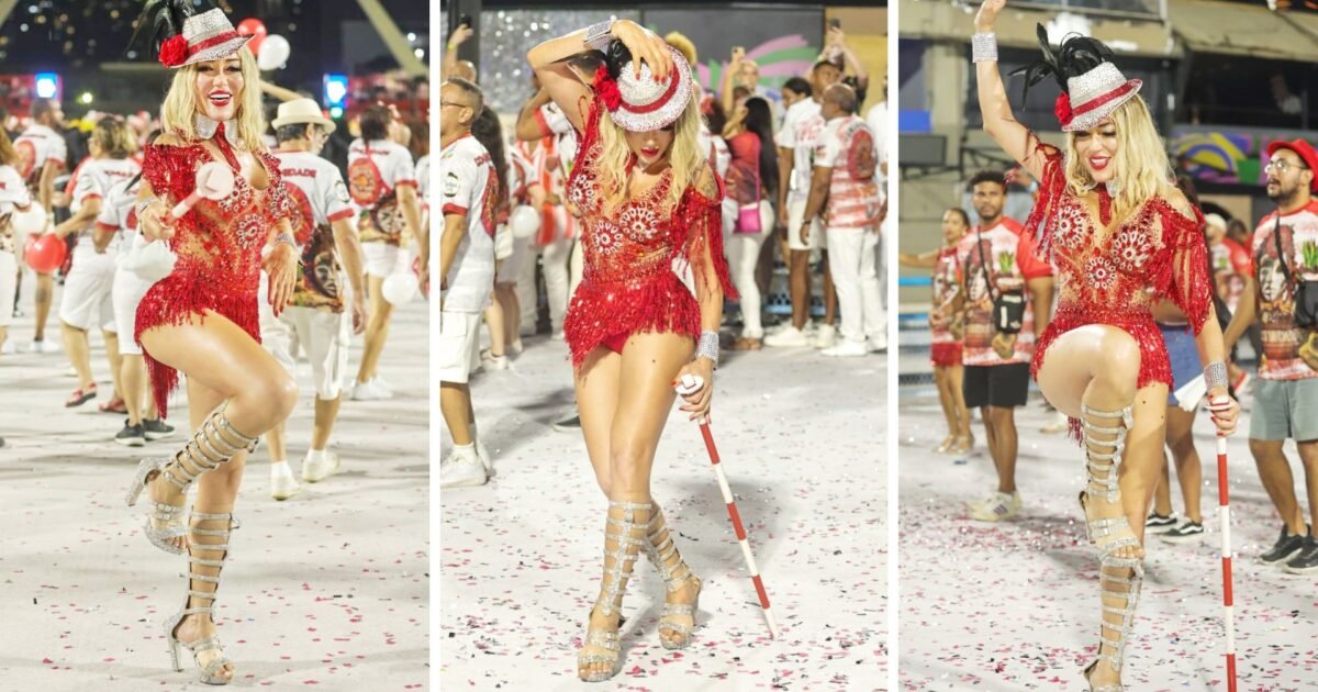 Musa da Estácio de Sá, Mulher Abacaxi explica fantasia discreta em ...