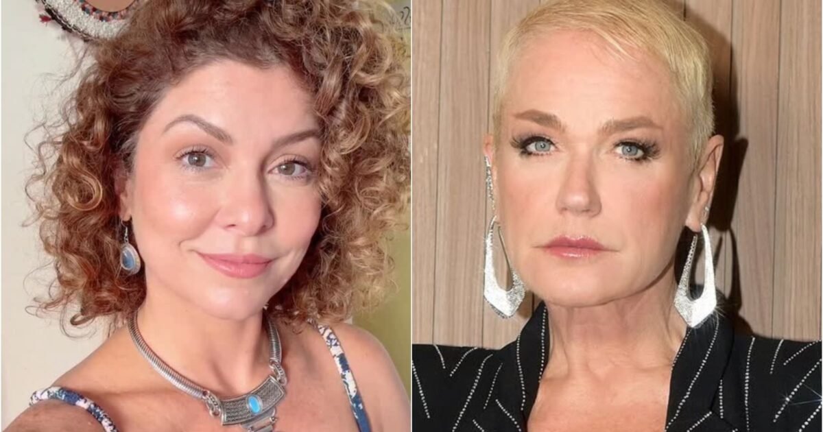 Ex-paquita, Bárbara Borges diz que não foi convidada para despedida de ...