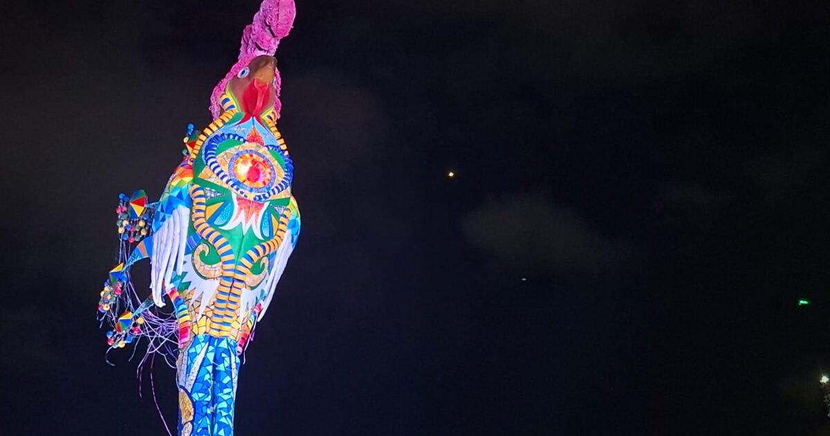 Galo da Madrugada sobe pela 1ª vez com coração luminoso e abre Carnaval ...