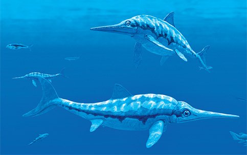 Ichthyosaurs Definition